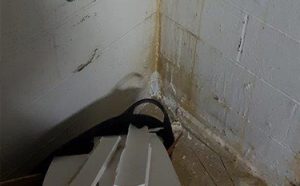 Waterproofing Inspection Report Liverpool, Sydney - Structural Consultants